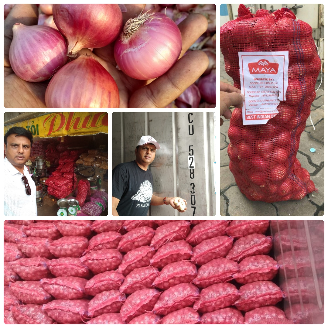 Onion Wholesale Distributors – Largest Importers of Granite and Onion
